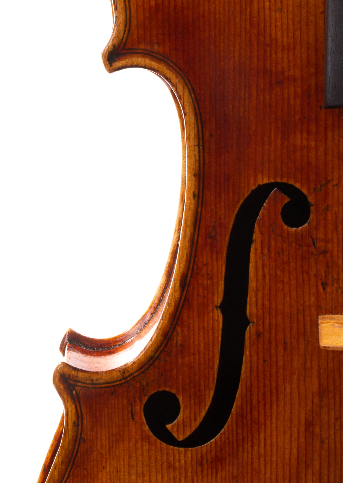 A German Violin c. 1890 | Dolce Violins