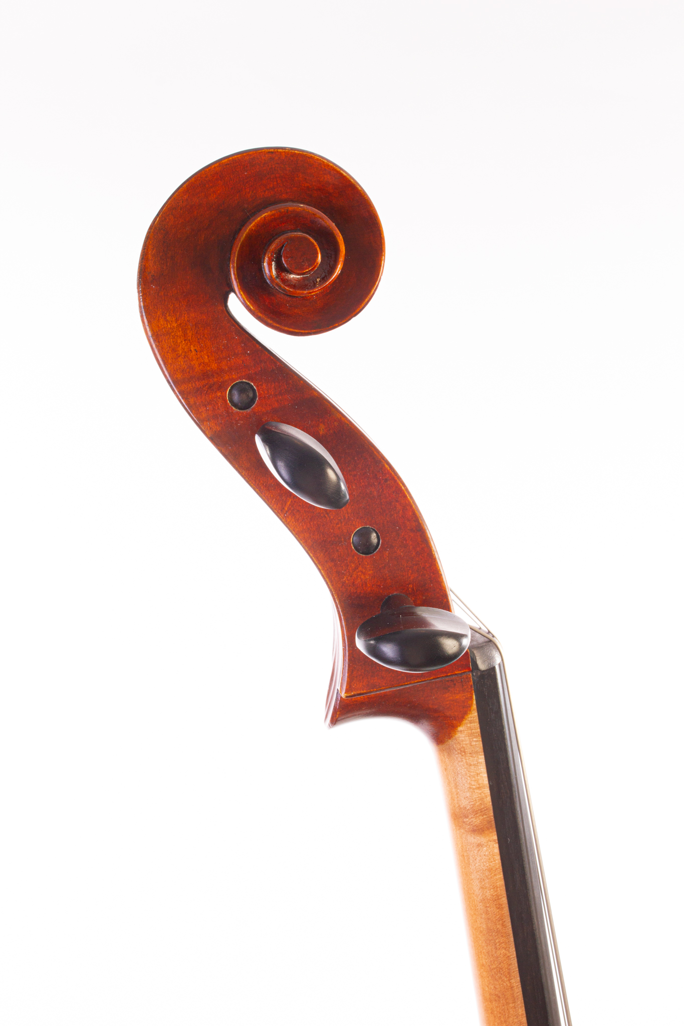 Eastman Strings - Rudoulf Doetsch Cello - Dolce Violins - Dolce Violins