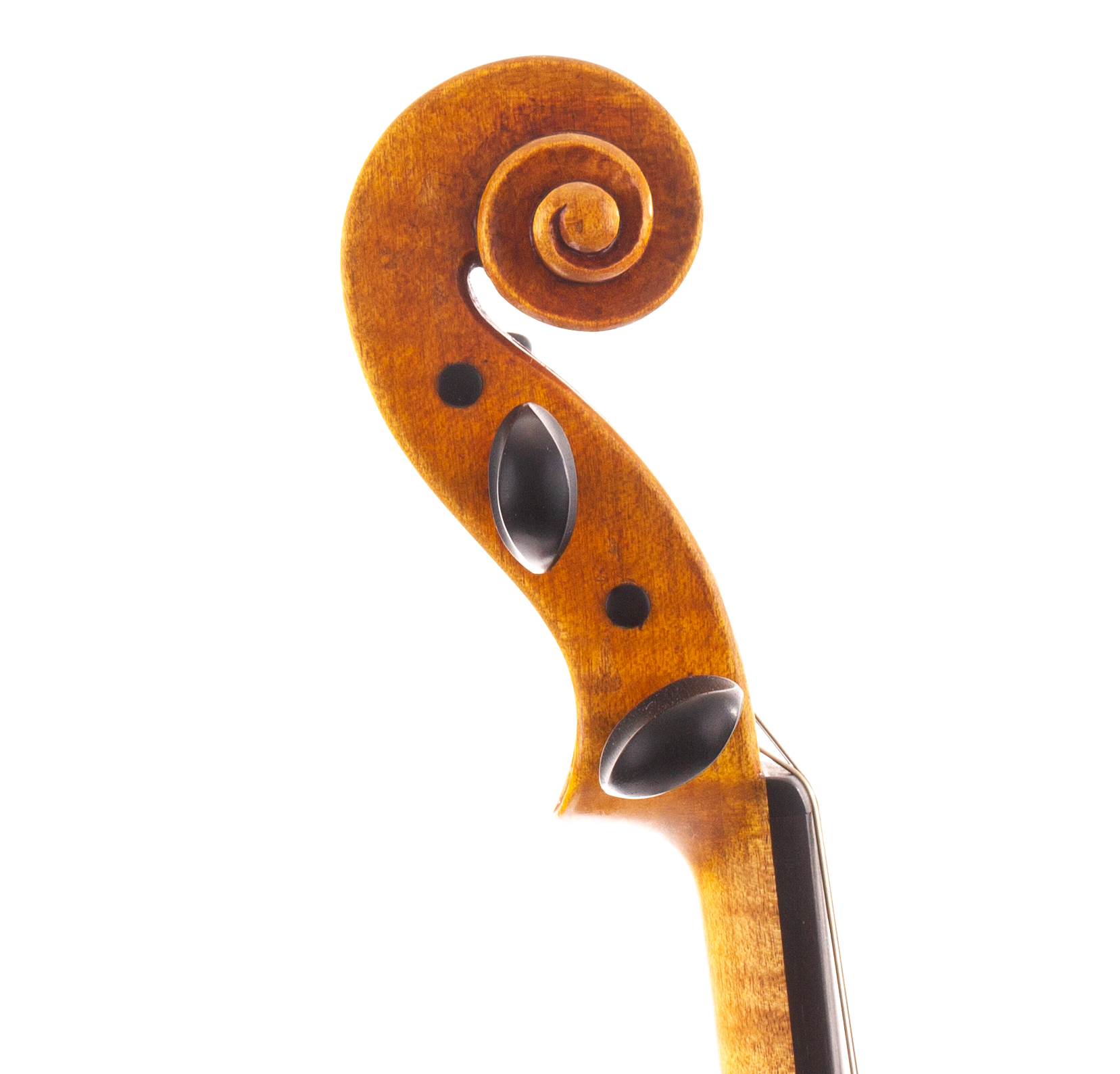 Jacob Brillhart Viola 2021 - 15 7/8 Length of Back | Dolce Violins
