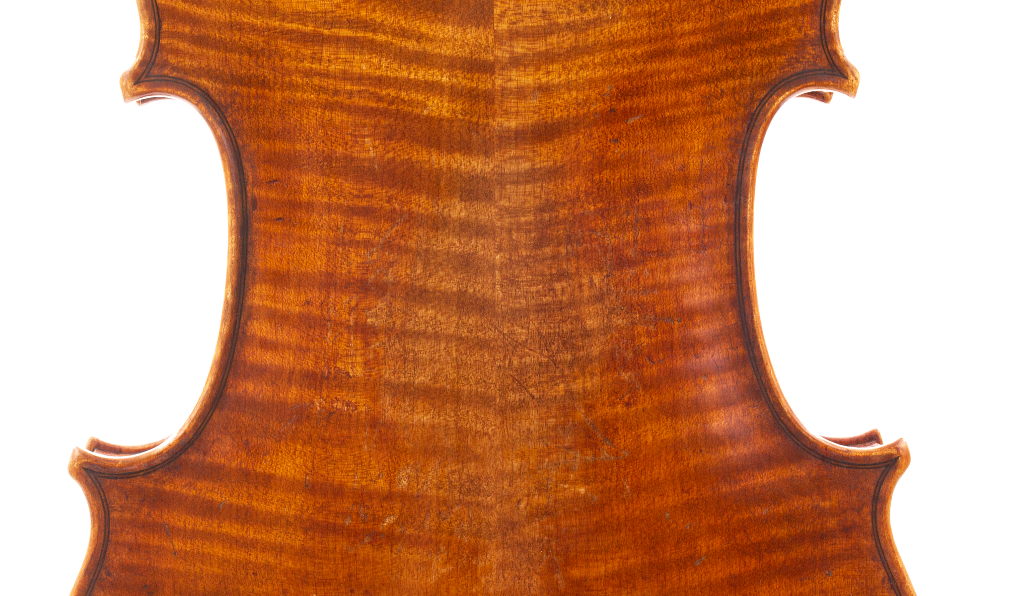 Jacob Brillhart Viola 2018 - 16.5 Length of Back | Dolce Violins