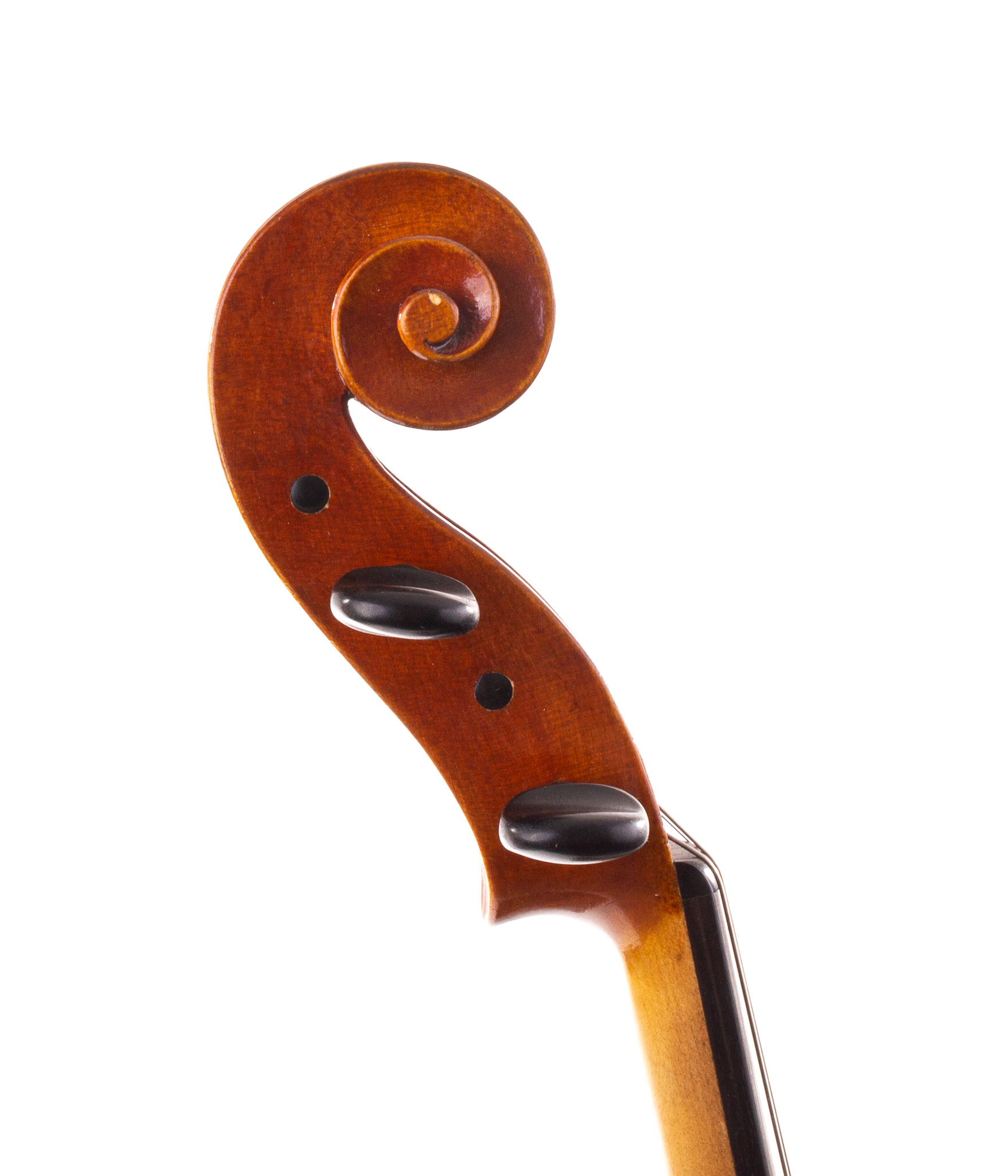 Julia Felix Viola 2015 - 15.5 Length of Back | Dolce Violins