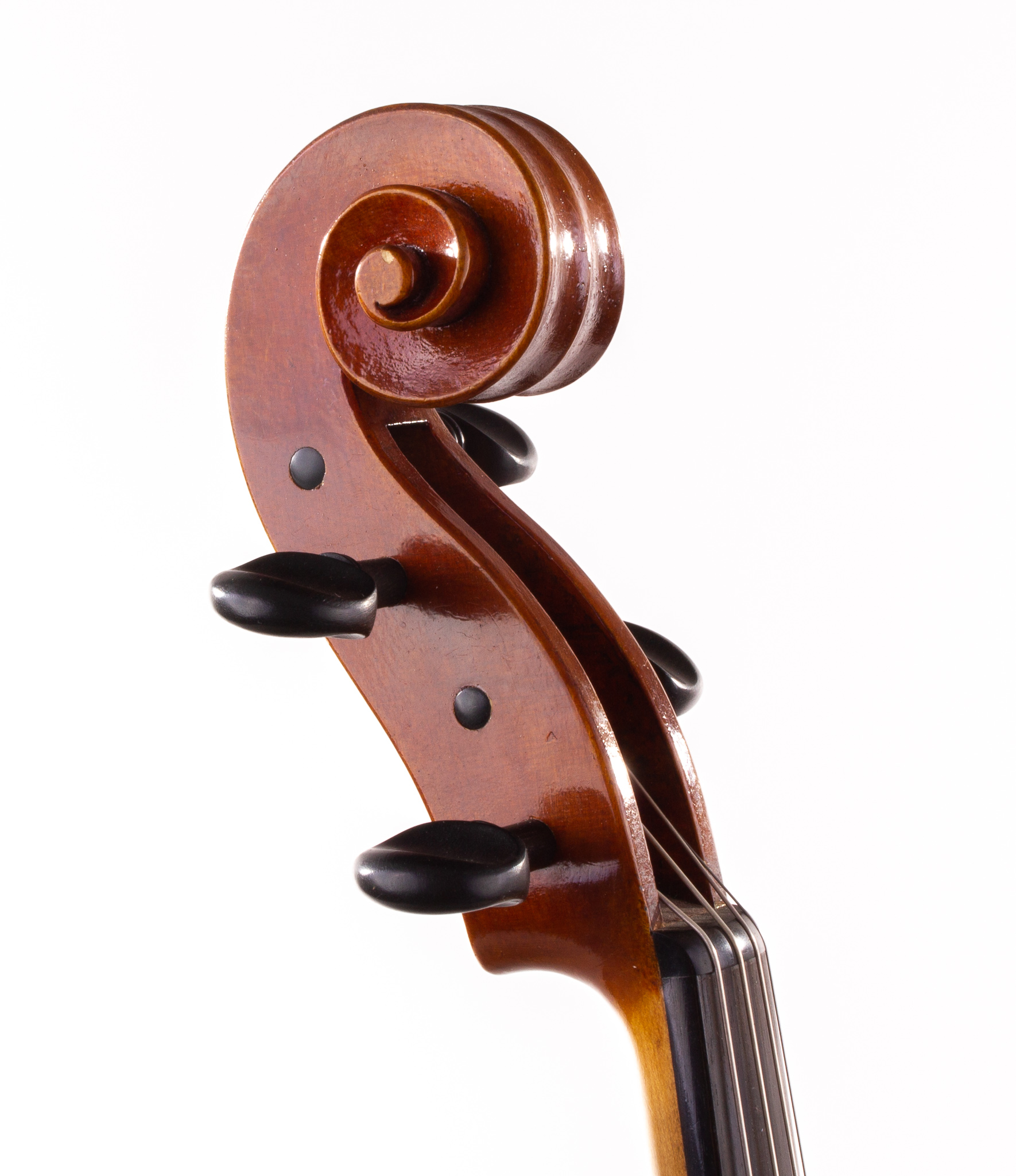 Julia Felix Viola 2015 - 15.5 Length of Back | Dolce Violins
