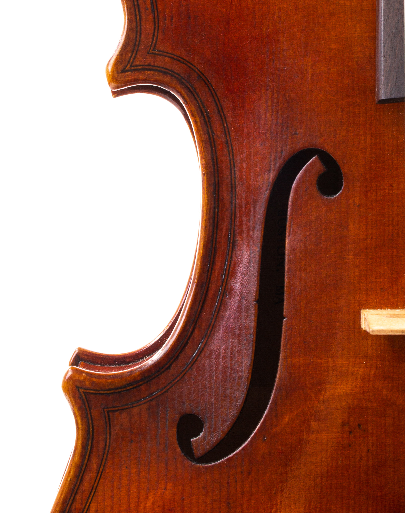 Julia Felix Viola 2015 - 15.5 Length of Back | Dolce Violins