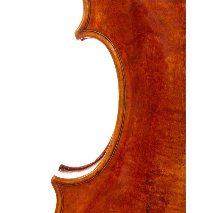 William Whedbee Viola 2021 - 16 Inch Length of Back | Dolce Violins