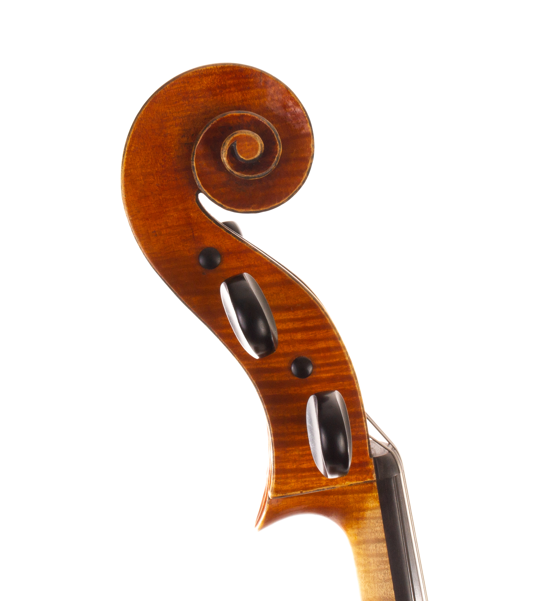 Daniel G. Arlig Cello - Minneapolis 2022 | Dolce Violins