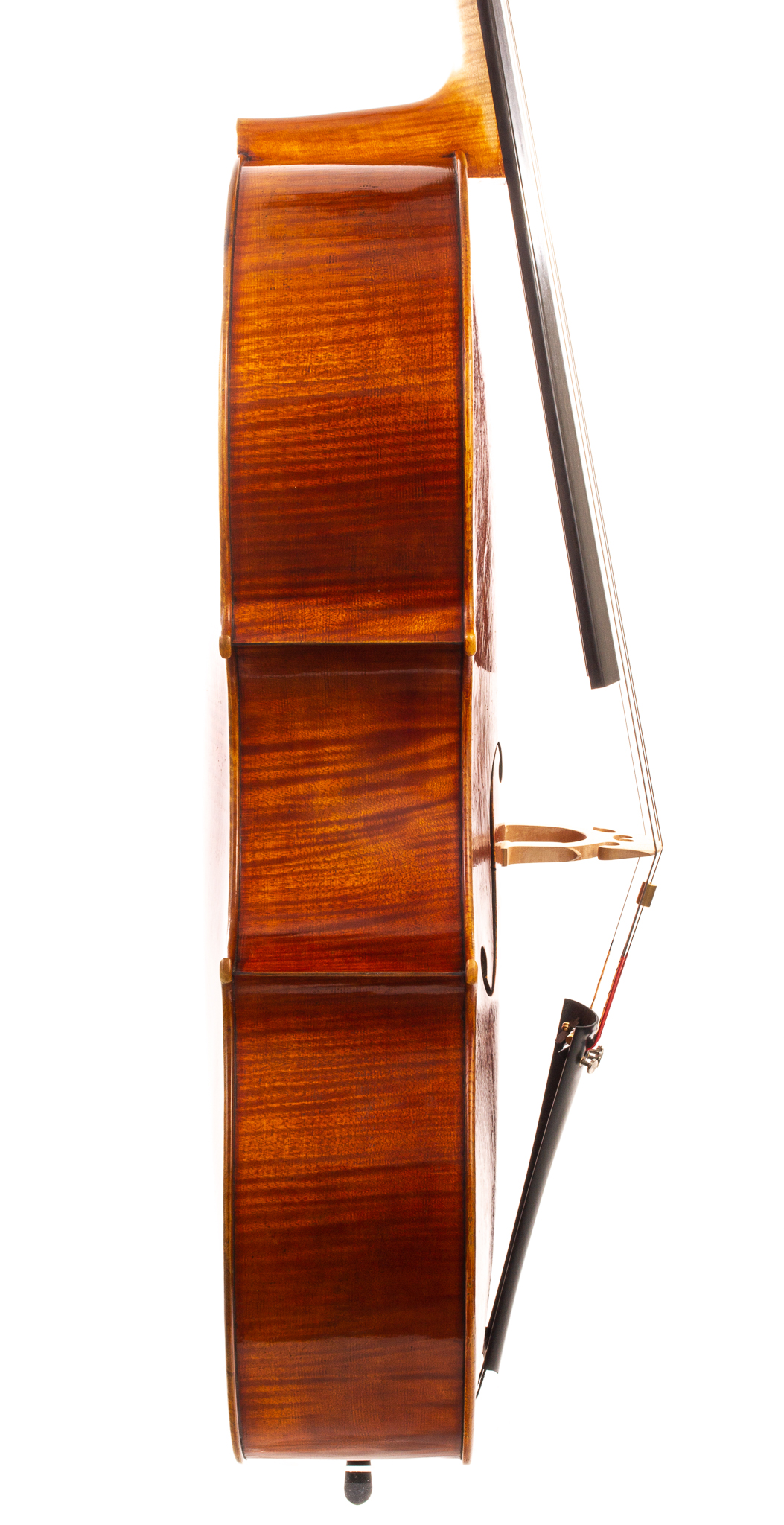 Daniel G. Arlig Cello - Minneapolis 2022 | Dolce Violins