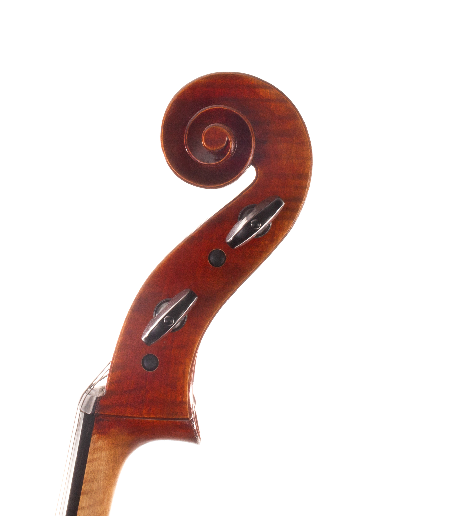 Genovese - Soroka 7/8 Cello - 2025 | Dolce Violins