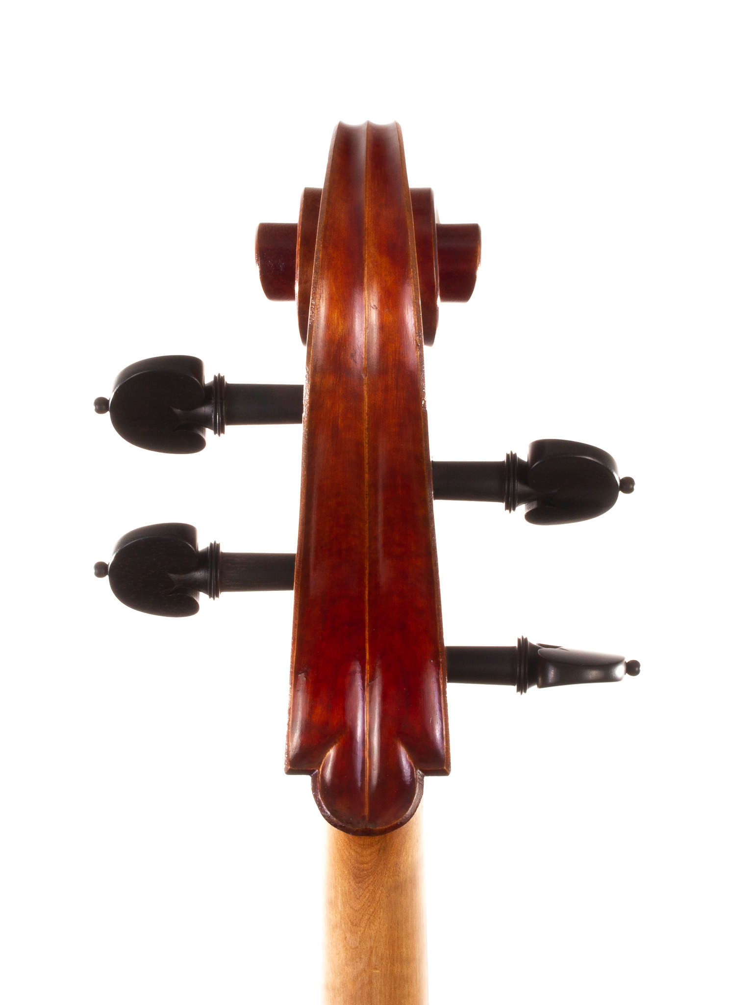 Genovese - Soroka 7/8 Cello - 2025 | Dolce Violins