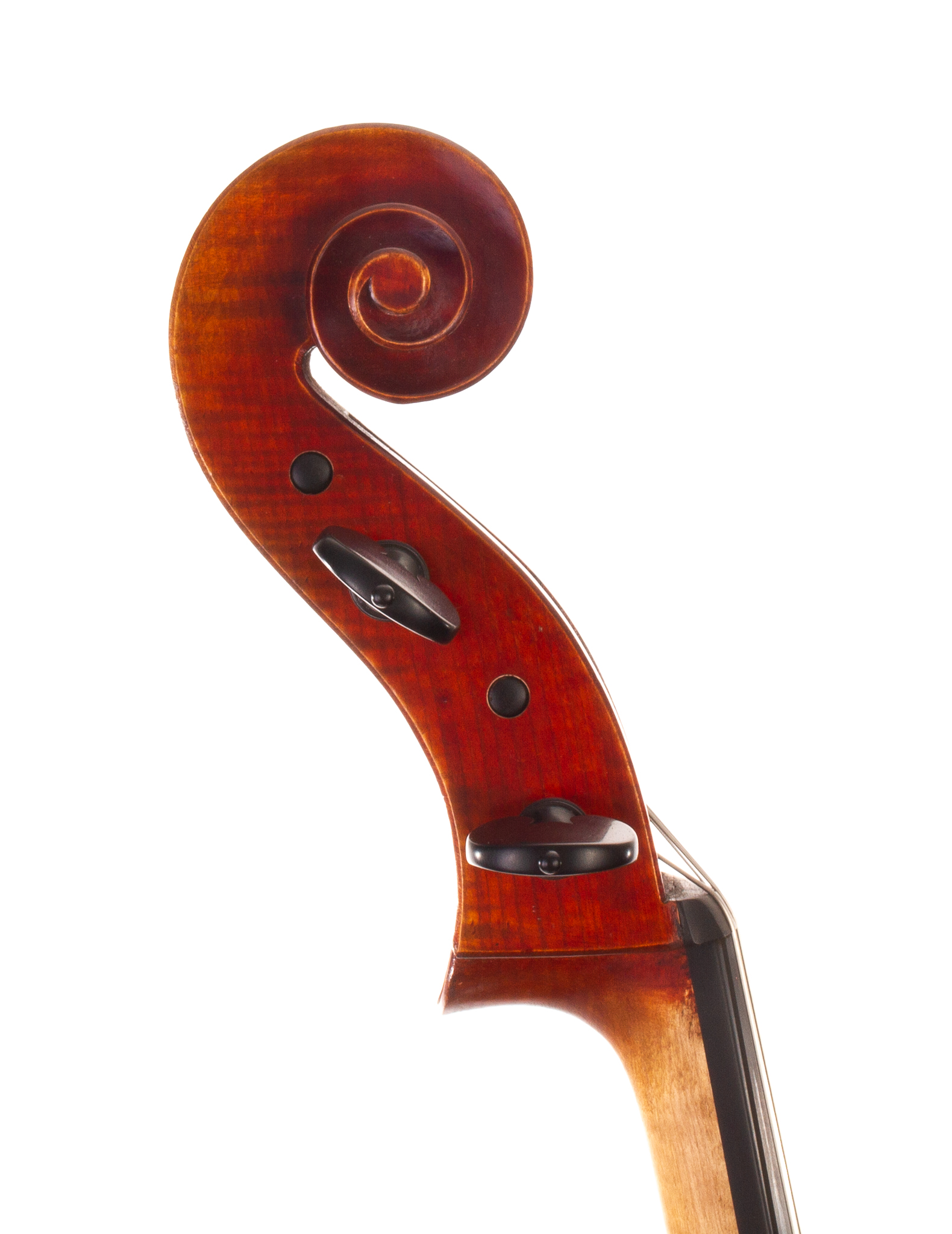 Genovese - Soroka 7/8 Cello - 2025 | Dolce Violins