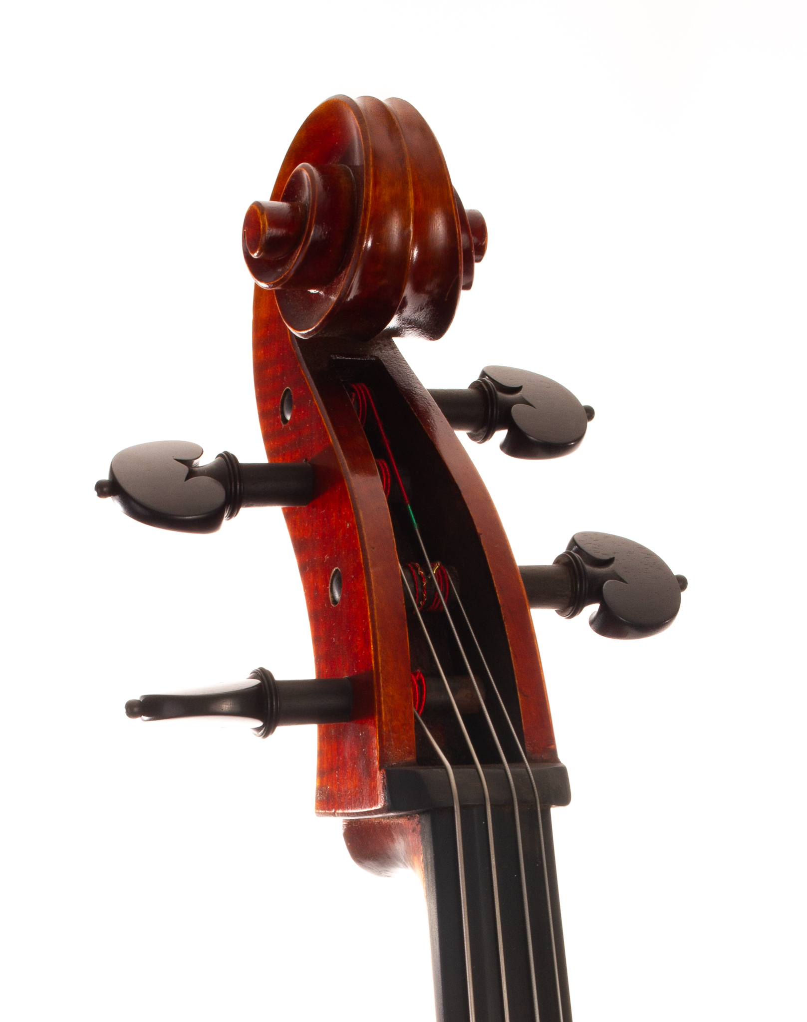 Genovese - Soroka 7/8 Cello - 2025 | Dolce Violins