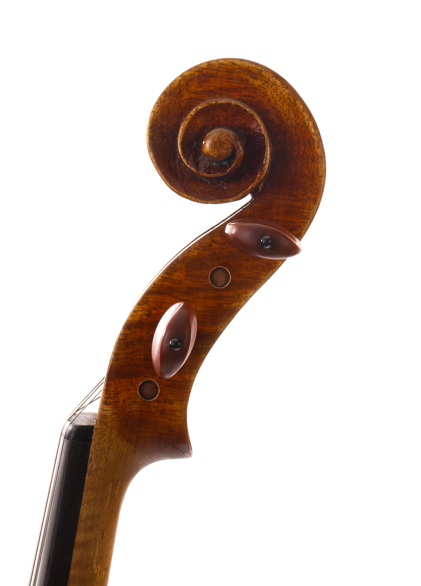 Douglas Cox Viola Brattleboro 2022 - 16 1/4 Length of Back | Dolce Violins