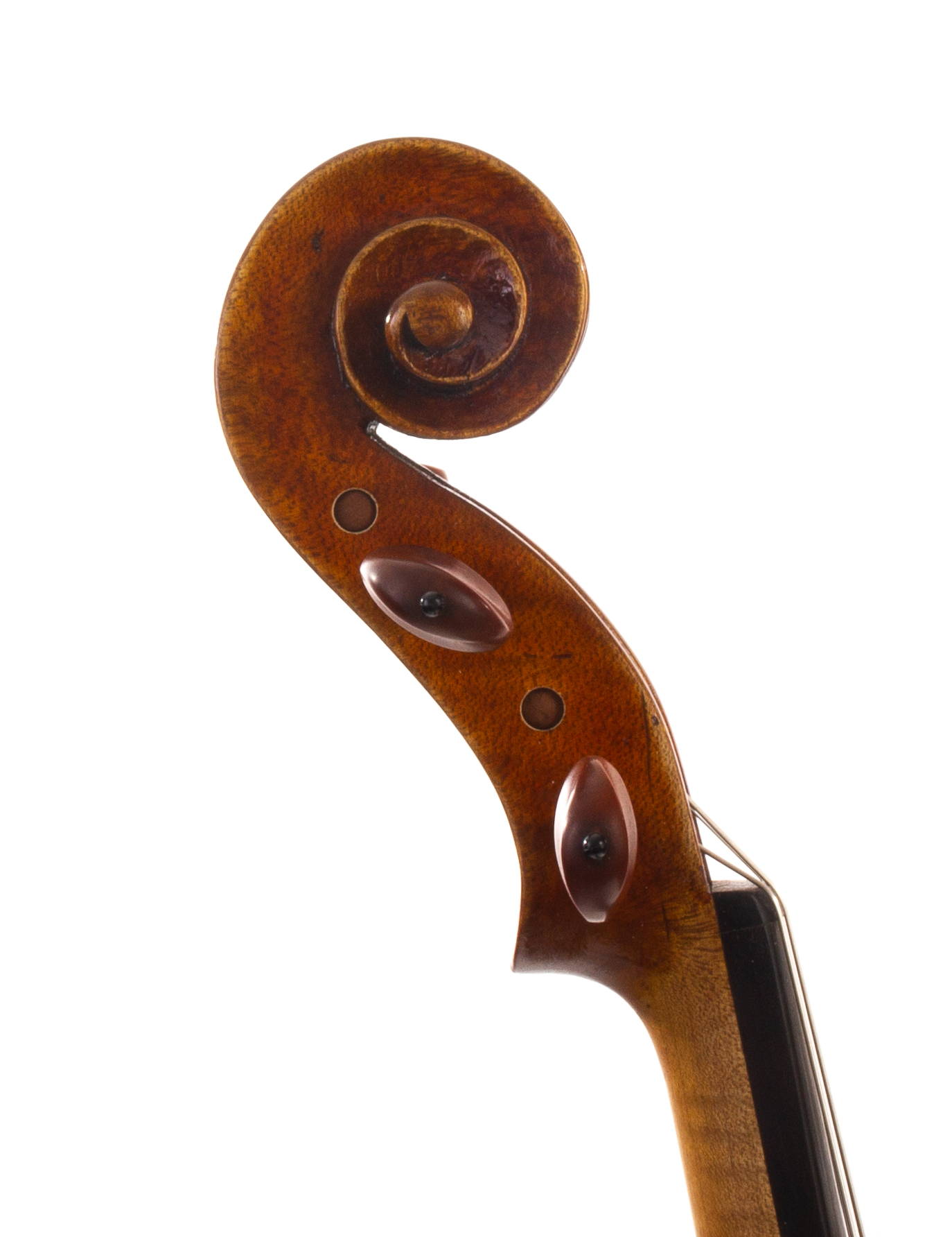 Douglas Cox Viola Brattleboro 2022 - 16 1/4 Length of Back | Dolce Violins