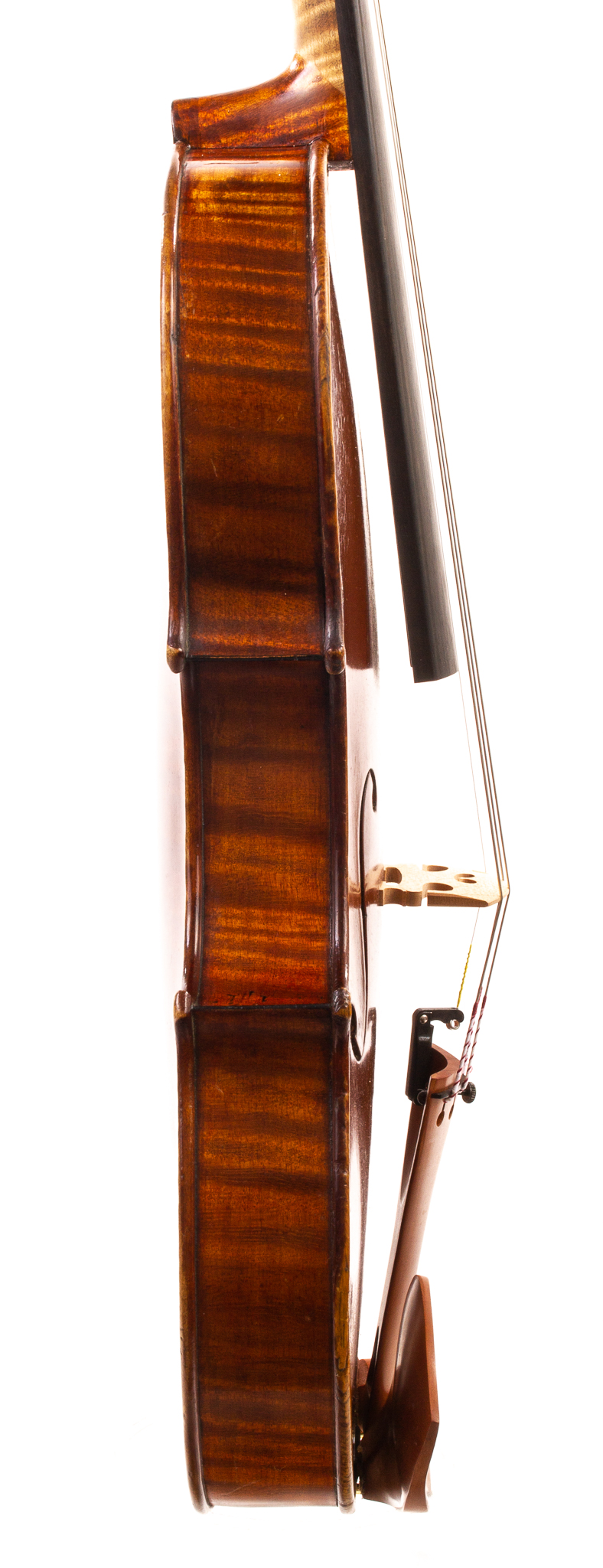 Charles Jean-Baptiste Collin-Mézin père Violin - Paris 1899 | Dolce Violins