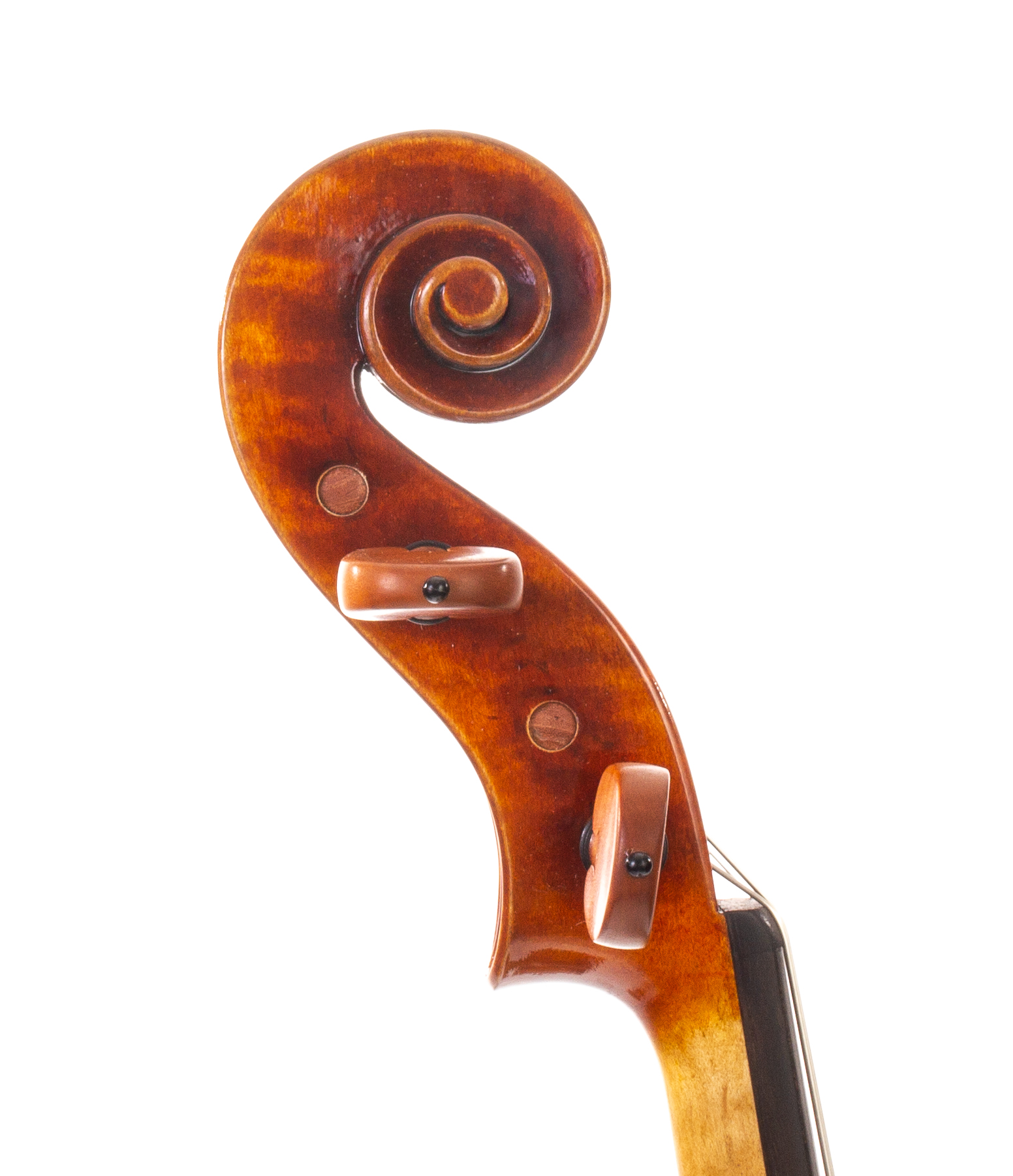 Core Select 2900 – Ming Jiang Zhu 15.5" Viola | Dolce Violins