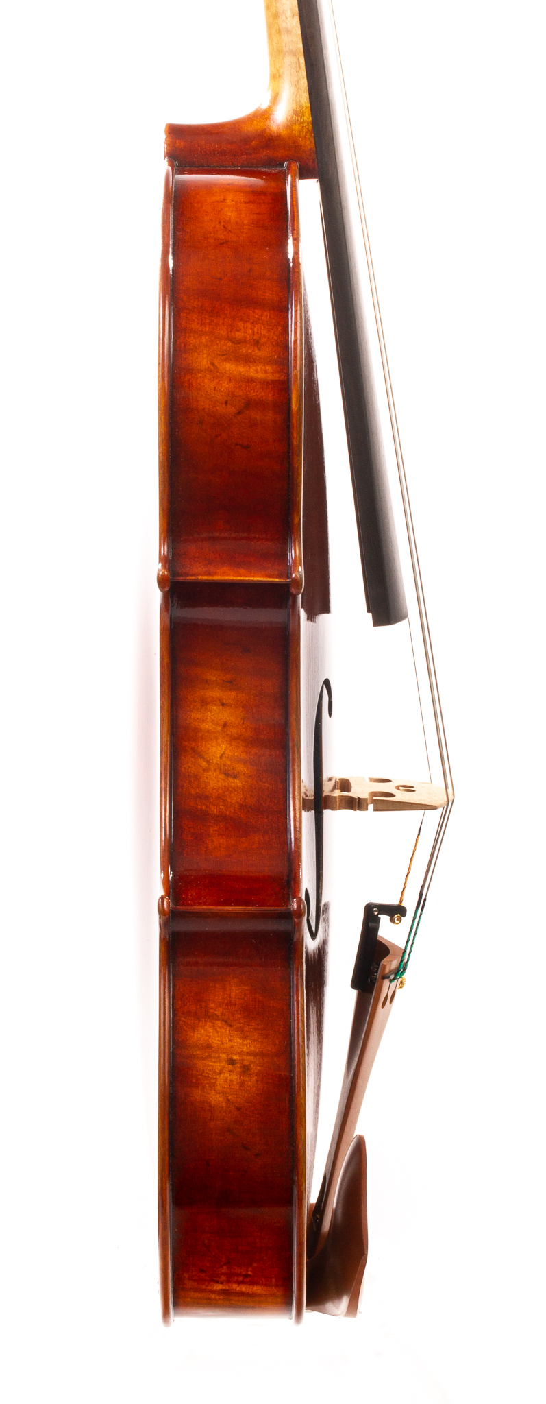 Core Select 2900 – Ming Jiang Zhu 15.5" Viola | Dolce Violins
