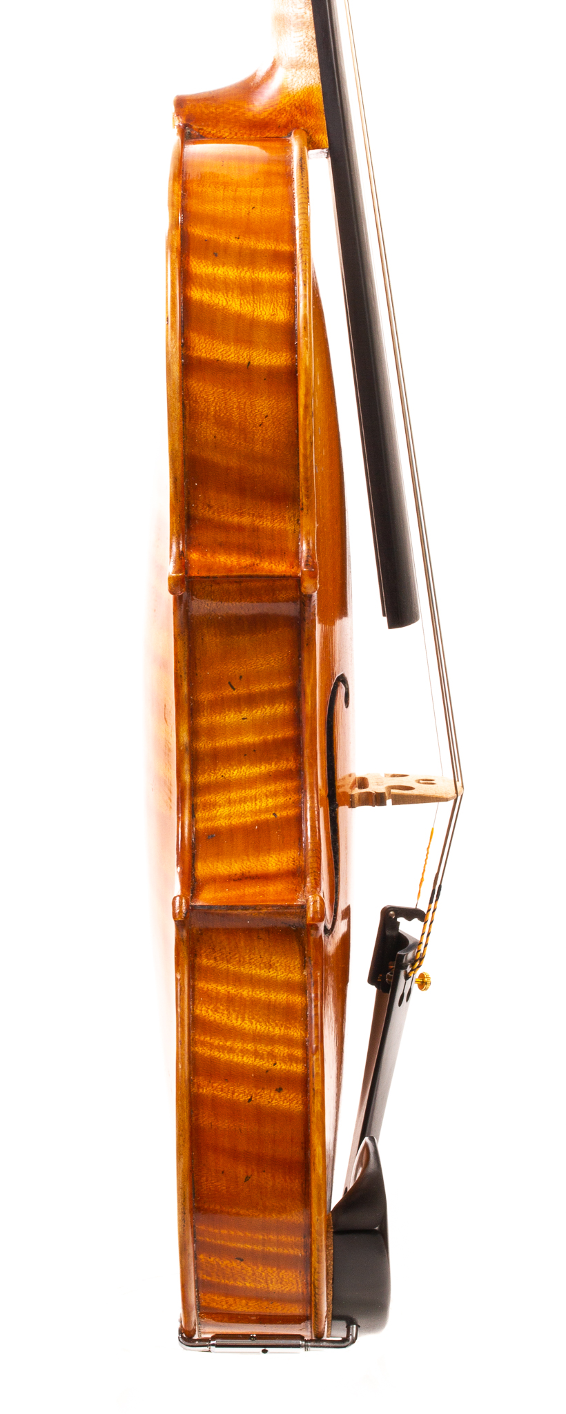 Benjamin Spilman Violin - Berkeley 2021 | Dolce Violins