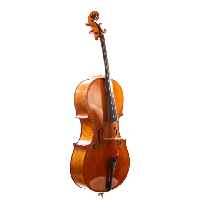 Understanding Cello Prices | Dolce Violins