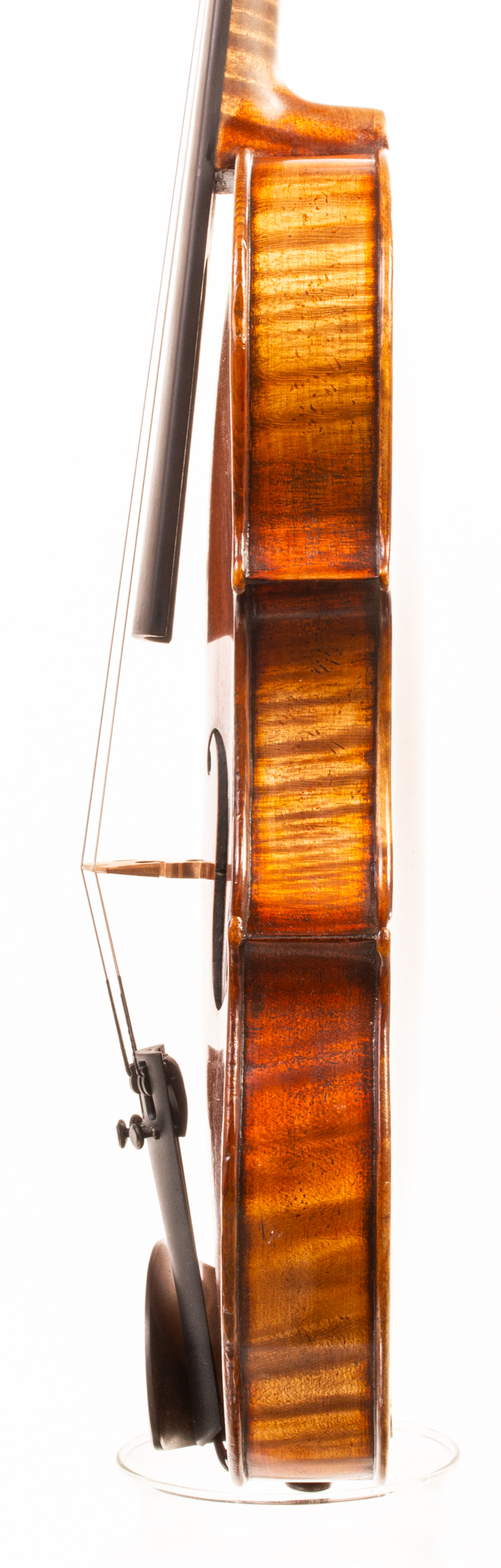 German Violin Labeled Stradivarius - Circa 1915 | Dolce Violins