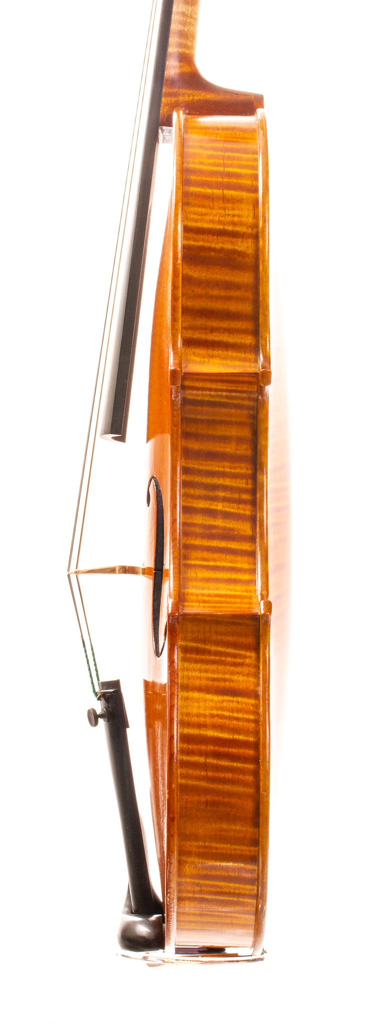 Zachary T Taylor Violin - 2014 | Dolce Violins