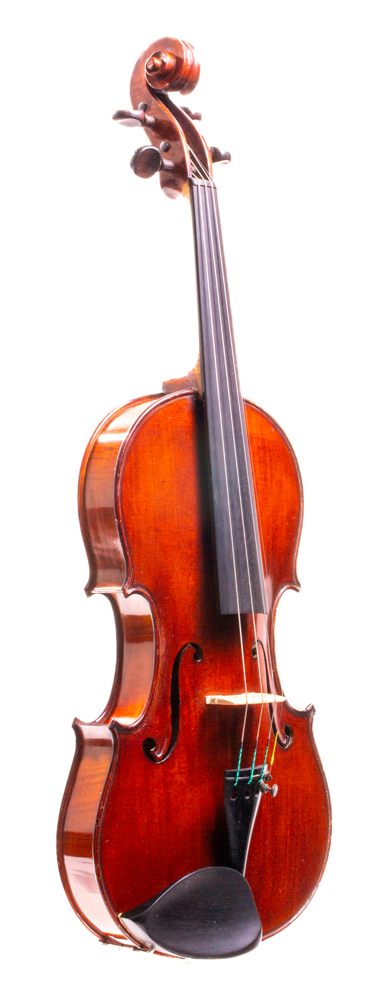 Professional Violins | Dolce Violins